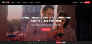 37 Best Website Video Player Available Online For You