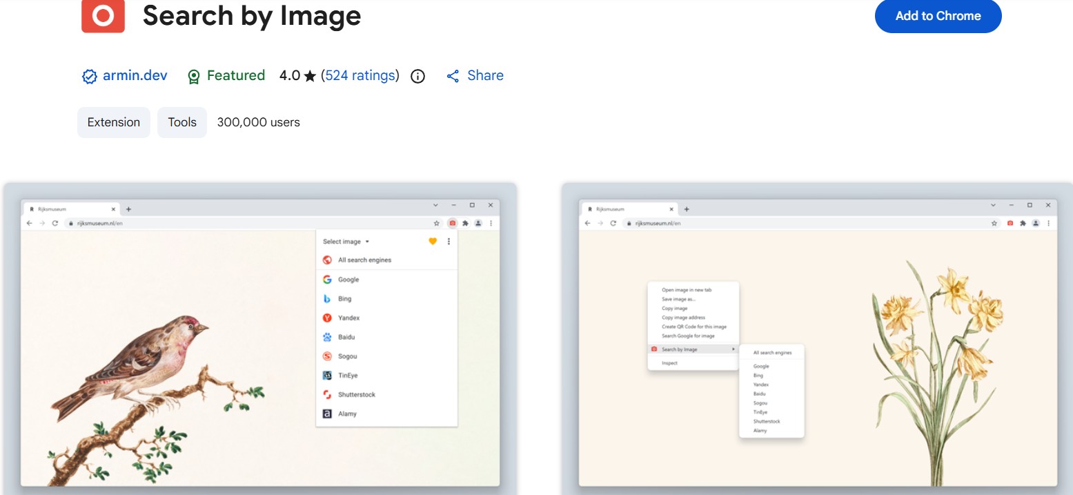 Top 19 Reverse Image Search Alternatives in 2025