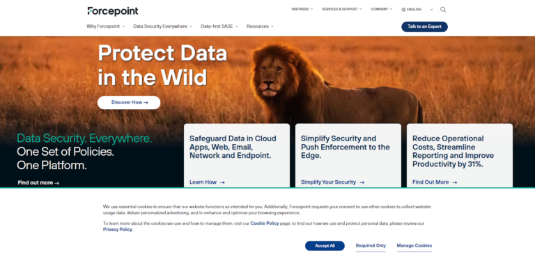 19 Top Cybersecurity Tools: Essential Guide