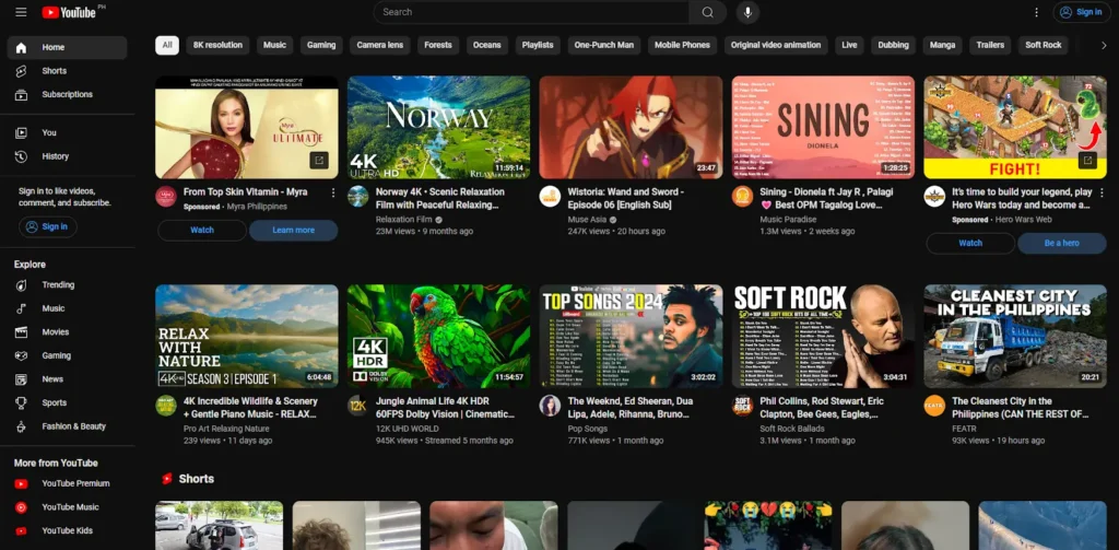 15 Best Live Streaming Platforms This Year: Your Top Picks